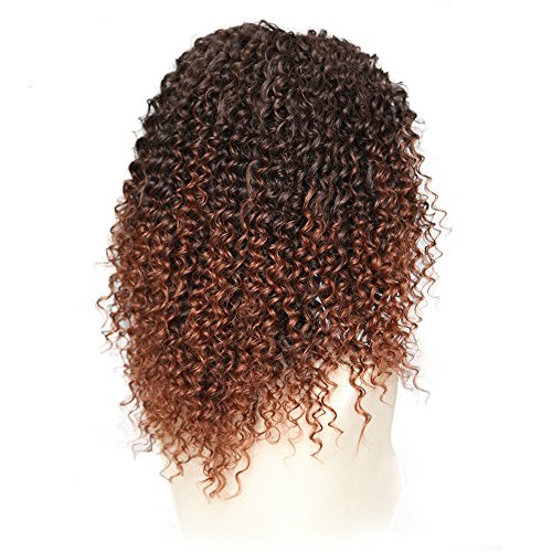 CBWIGS Fiber Hair Afro Kinky Curly Synthetic Lace Front Wigs Two Tone Ombre Brown Long Fluffy ...