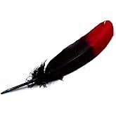 Amazon.com: Moonlight Feather | USA SELLER 12 Pieces - Red and Black ...