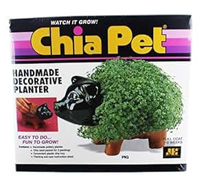 Amazon.com : Chia Pet Pig - 1 Each : Garden & Outdoor