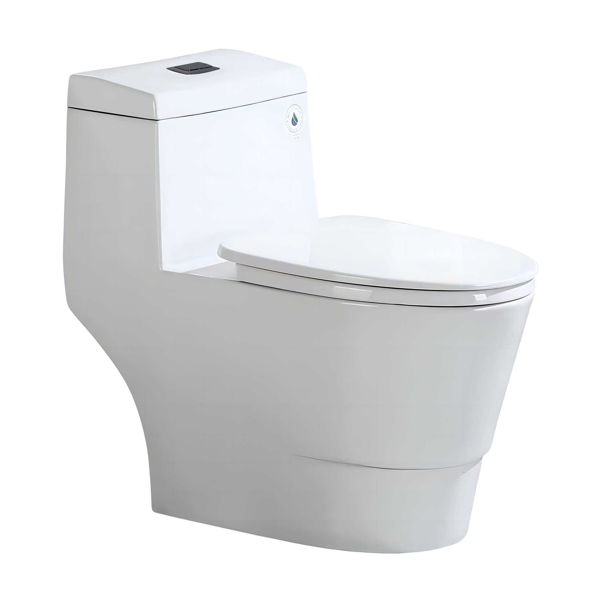 WOODBRIDGEE One Piece Toilet with Soft Closing Seat, Chair Height, 1.28 ...