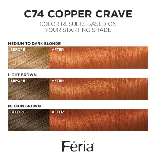 L'Oreal Paris Feria Multi-Faceted Shimmering Permanent Hair Color, C74 ...