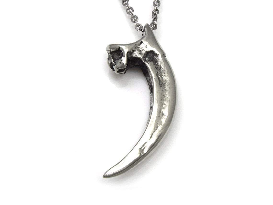 Amazon.com: Harpy Eagle Talon Pendant Necklace, Bird Claw Jewelry: Handmade