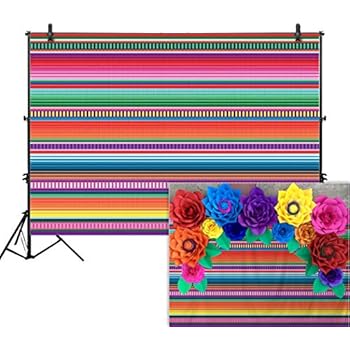 Amazon.com : Mehofoto Mexican Fiesta Gender Reveal Baby Shower Backdrop ...