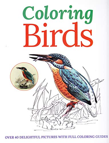 Amazon.com: Coloring Birds: 9781782128717: Publishing, Arcturus: Books