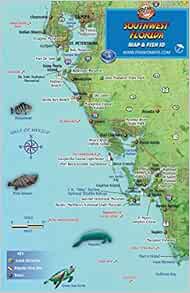 Southwest Florida Dive Map & Coral Reef Creatures Guide Franko Maps ...