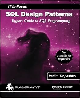 SQL Design Patterns: The Expert Guide to SQL Programming (IT In-Focus ...