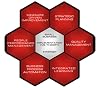 Amazon.com: Six Disciplines for Excellence: Building Small Businesses ...