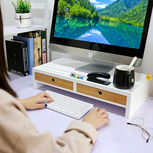 Computer Monitor Stand with Drawers - White Wood Laptop Screen Printer ...