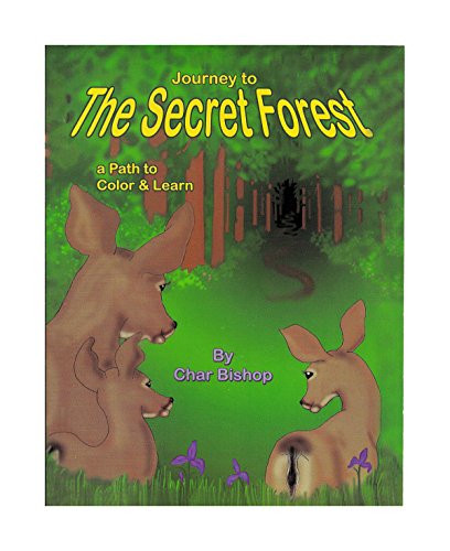 Amazon.com: Journey to the Secret Forest: 9780970046642: Bishop, Char ...