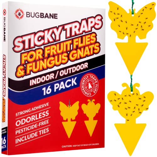 Fungus Gnat Sticky Traps for Plants 16pk with Ties. Gnat Traps for ...