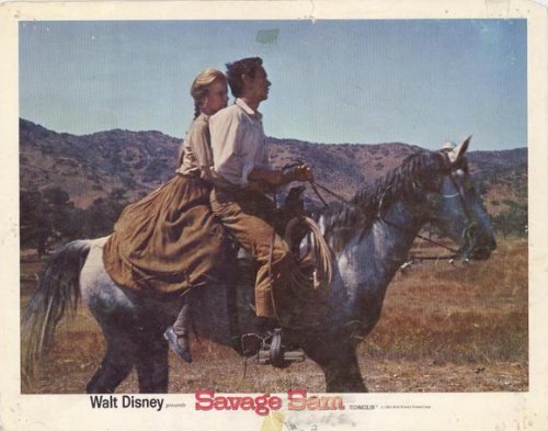 Amazon.com: Savage Sam Movie Poster (11 x 14 Inches - 28cm x 36cm ...