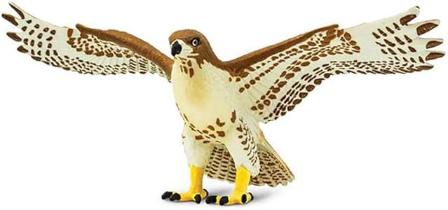 Amazon.com: Safari Ltd. Red Tailed Hawk – Realistic Hand Painted Toy ...