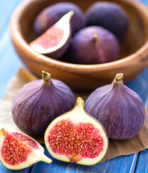 Mua Fig Tree Plant Live Sweet Edible Fig Rooted Plant 2 to 3 Ft in ...