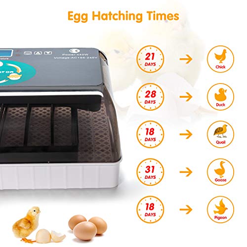 Apdo Egg Incubator, 9-35 Eggs Fully Automatic Poultry Hatcher Machine ...
