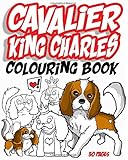Amazon.com: Cavalier King Charles Spaniel Colouring Book: Fun Cavalier ...