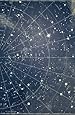 Amazon.com: Constellation Journal (Notebook, Diary) (9781532966118 ...