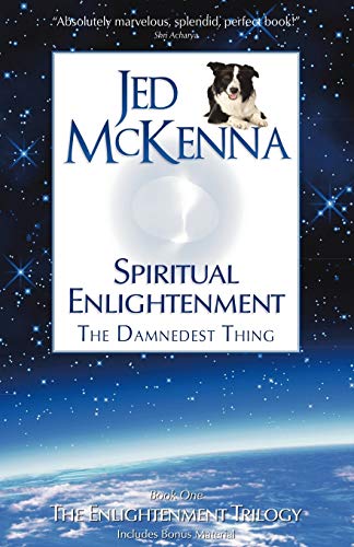 Spiritual Enlightenment, the Damnedest Thing: Book One of The ...