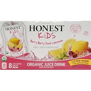 Amazon.com : Honest Kids Berry Berry Good Lemonade Organic Juice 6.75 ...