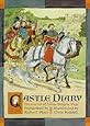 Castle Diary: Richard Platt, Chris Riddell: 9780744528800: Amazon.com ...