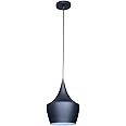 Bromi Design Berkley Black Single Light Pendant B6001 - Amazon.com