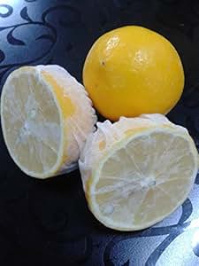 Amazon.com: Lemon Wrap, Lemon Covers, Lemon Stretch Wraps, 100 Count ...