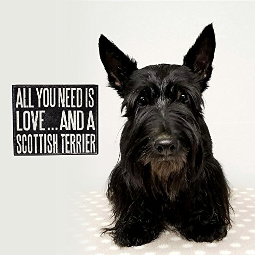 JennyGems - All You Need is Love and a Scottish Terrier - Wooden Stand ...