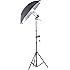 Amazon.com : Studiohut KIT2CS Photography Studio Continuous Lighting ...