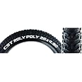 Amazon.com : Tires CSTP Roly Poly 26x4.8 BK/BK Wire SC : Sports & Outdoors