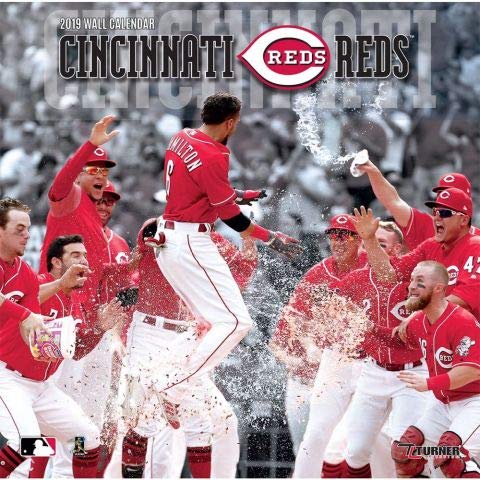 Download Free: Cincinnati Reds 2019 Calendar by Lang Holdings Inc. PDF ...
