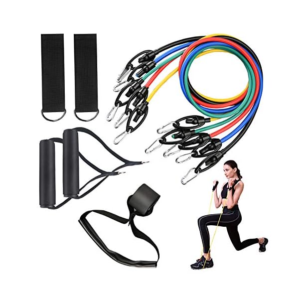 Fitness Insanity Resistance Bands Set - 5-Piece Exercise Bands ...