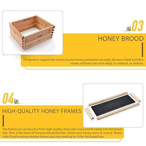 TERRADISE Bee Hive, 3 Layer Honey Bee Hives, Beekeeping Supplies Beehive Kit with 10 Medium 20 ...