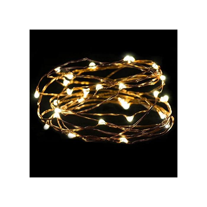 40HZ Gamma Light Therapy Kit