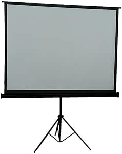 Amazon.com: ProHT 100-inch Portable Projection Screen (05358), w/Pull ...