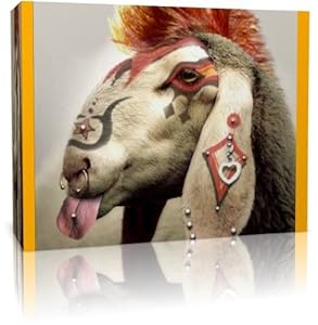 Punk Goat Funny Box Canvas Art Print Stunning Wall Decor - Modern Art ...