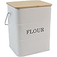 Amazon.com: Gdfjiy Flour Container Metal Flour Tin, Flour Storage ...