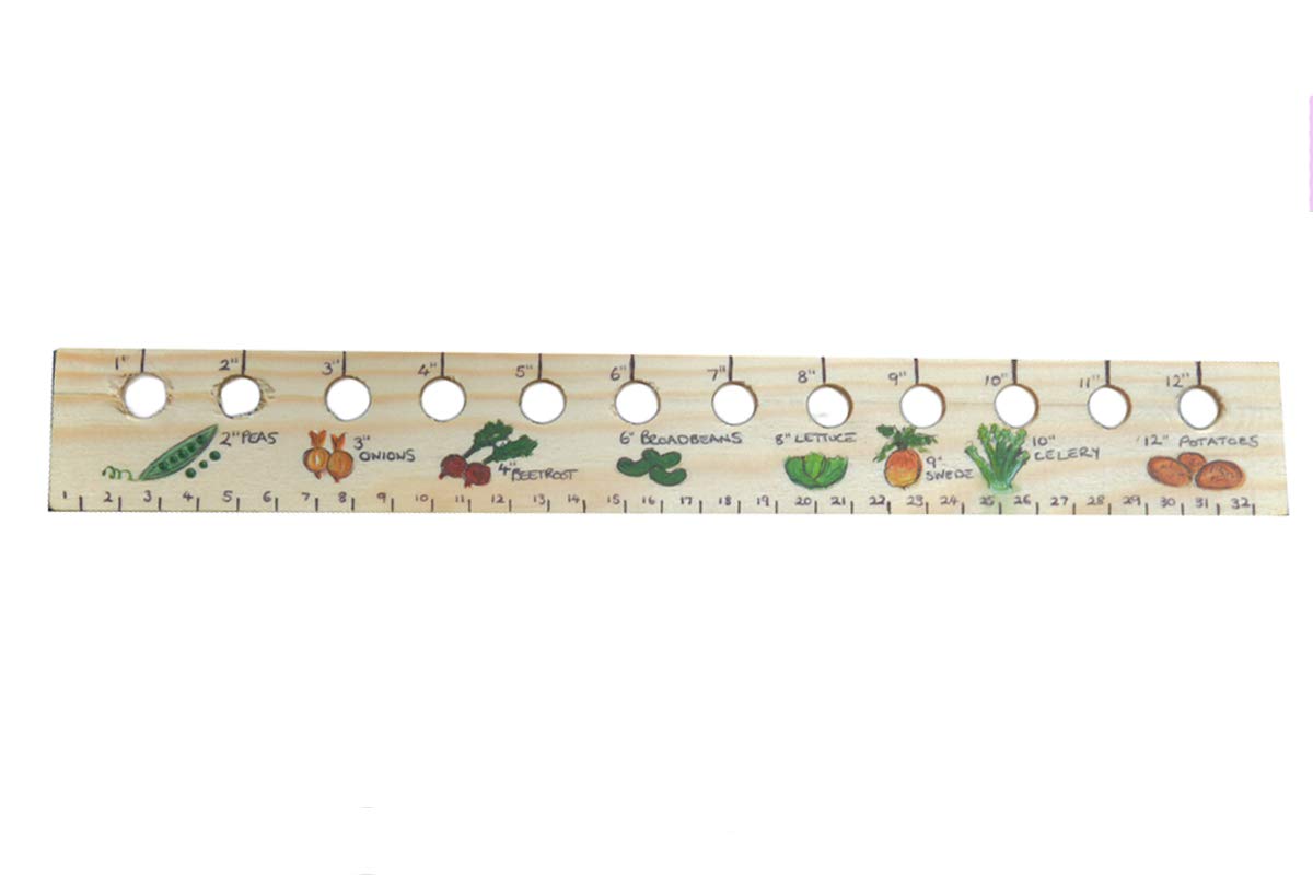 Sowing Planting Ruler | Plant Seed Spacer | Allotment | Grow Your Own ...