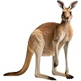 Amazon.com: Kangaroo - Life Size Cardboard Cutout Standup People with ...