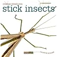 Creepy Creatures: Stick Insects by Bodden, Valerie