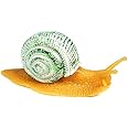 Amazon.com: Blue Frog Toys Sticky Snail Toy with Hard Shell - Ideal for ...