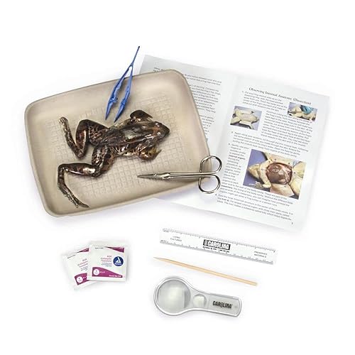 Carolina Biological Supply Young Scientist Frog Dissection Kit - Single ...