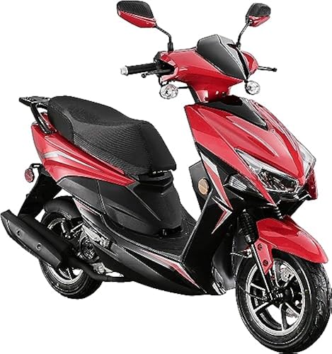 TAO SMART DEALSNOW Brings Brand New 150cc Gas Fully Automatic Street ...