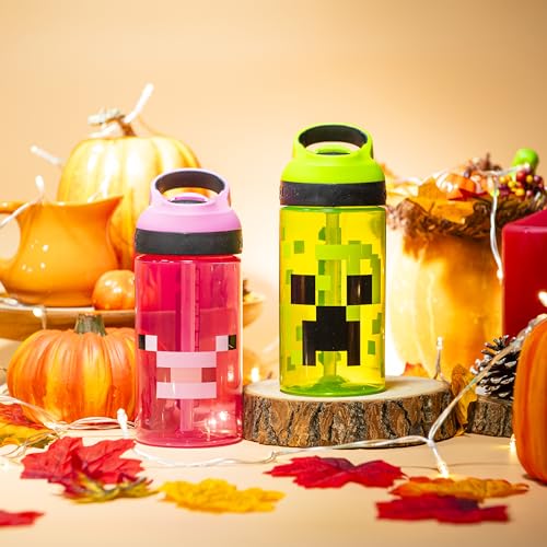 Zak Designs Minecraft Kids Water Bottle with Straw and Built in ...