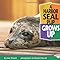 Amazon.com: A Harbor Seal Pup Grows Up (Baby Animals) (9780822500926 ...