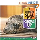 Amazon.com: A Harbor Seal Pup Grows Up (Baby Animals) (9780822500926 ...