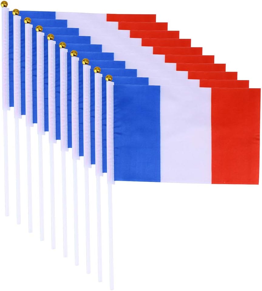 BESTOYARD 20pcs France Drapeaux tenus dans la Main Mini Drapeau ...
