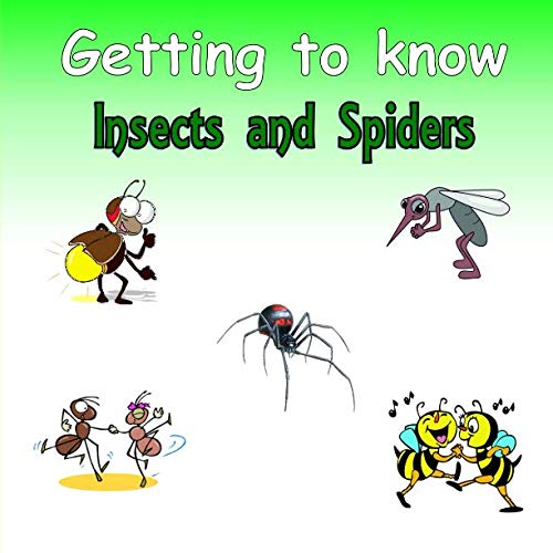 Getting to know Insects and Spiders: A Compare and Contrast Book ...