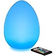 Mr.Go Rechargeable LED Egg Light with Remote, Cordless LED Egg Lamp ...