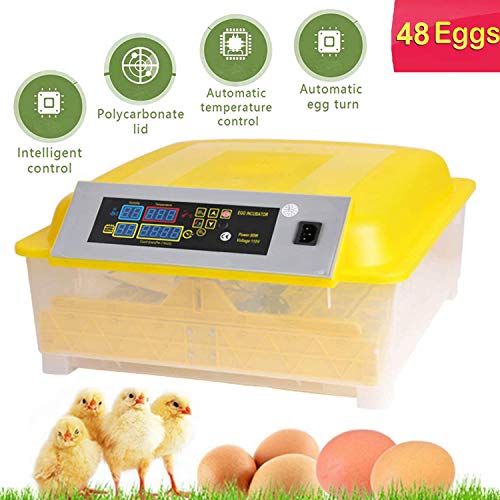 OppsDecor Egg Incubator, 48 Eggs Digital Incubator with Fully Automatic ...