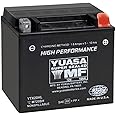 Amazon.com: Yuasa YUAM720BH YTX20HL Factory Activated H Series AGM Battery : Automotive
