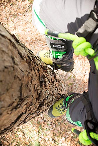 Notch Gecko Steel Climbers con Tree Gaffs (par) (41150)